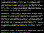 Lent | Reflections of God's Love